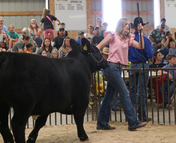Auction rings in sales, support for 4-H, FFA livestock handlers | News ...