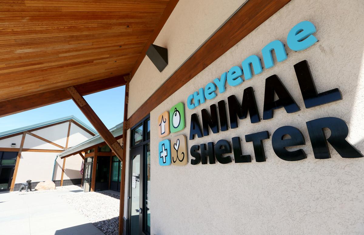 City, county increase funding for Cheyenne Animal Shelter | Gallery ...