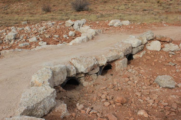 New Janey's Trail offers lunchtime walk opportunity | Industry News ...