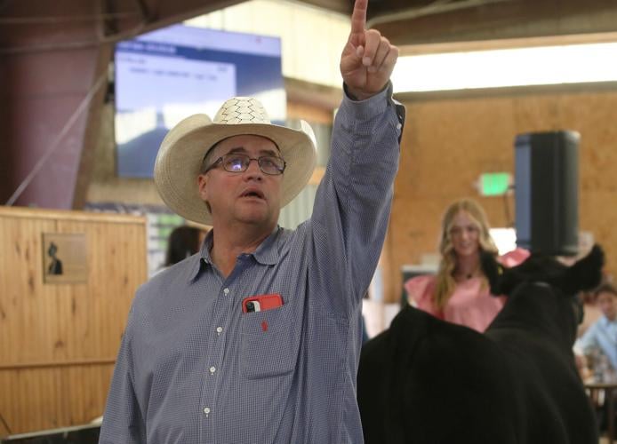 Champions Row presents top winners at Albany County Fair | News ...