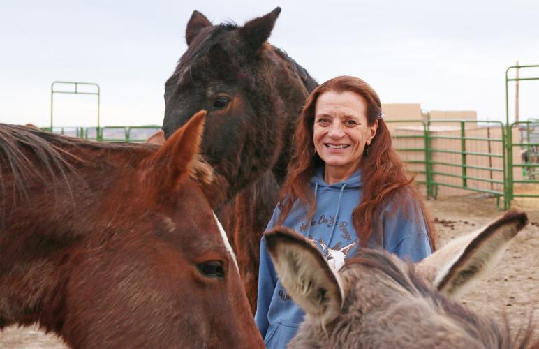 Unsung Hero: Pam Brekken makes time to feed animals, feed people, ring ...