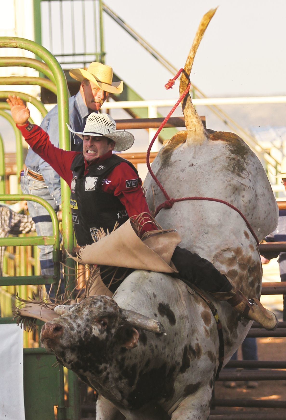 Mr. T Xtreme Bull Riding continues tradition for a wild ride from the ...