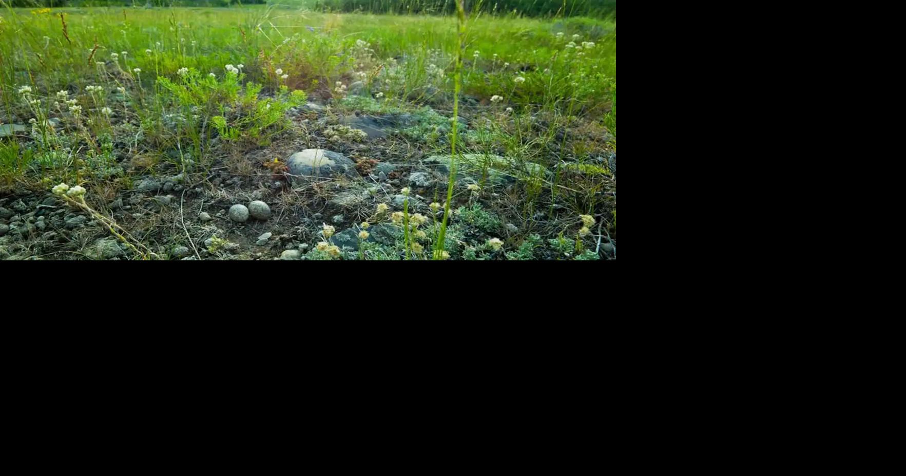 State officials: Auction Kelly parcel – with $80 million minimum ...