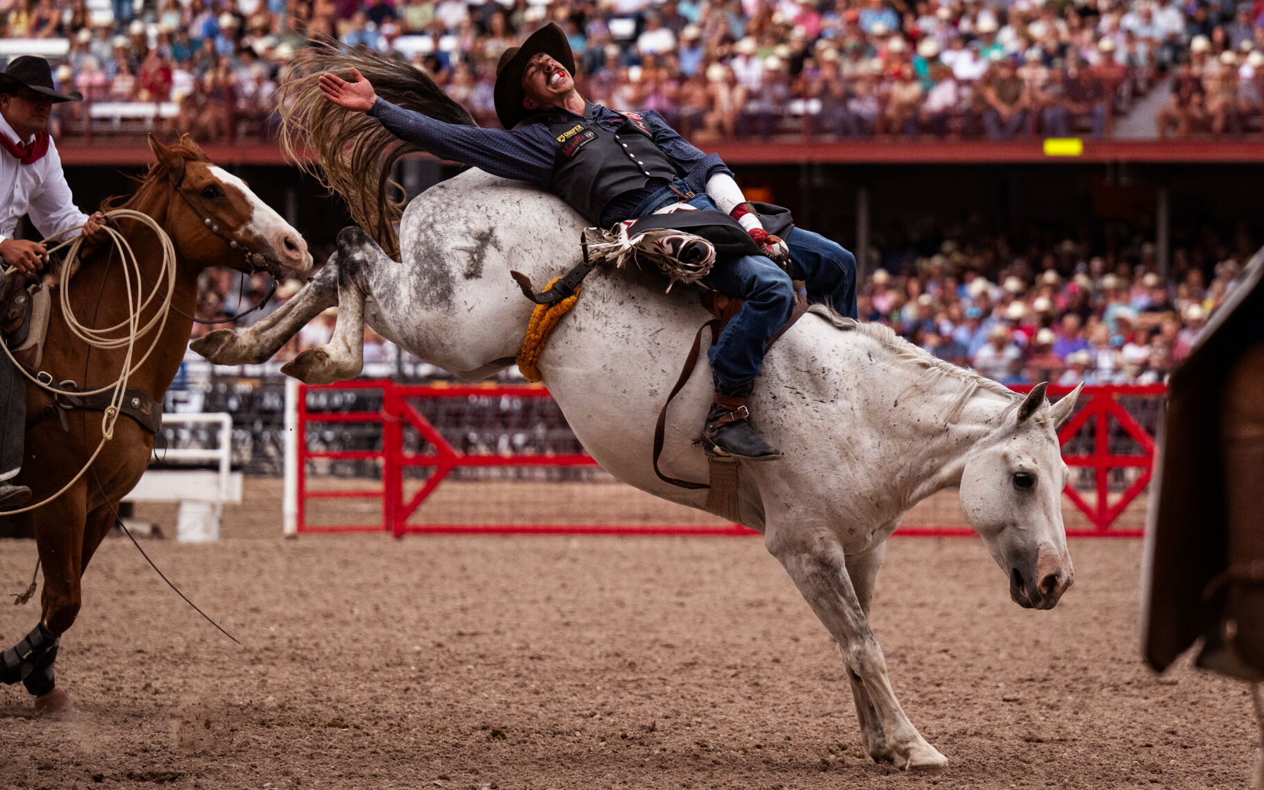 Wacey Schalla posts highest score in bull riding to advance to finals ...