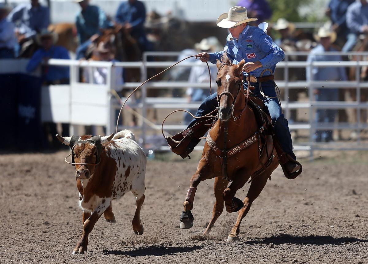Rocky Patterson wins first go of steer roping at Frontier Days | Rodeo ...