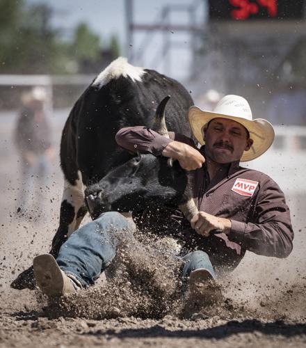 Cheyenne Frontier Days Rodeo 2022, Day 3 | Gallery | wyomingnews.com