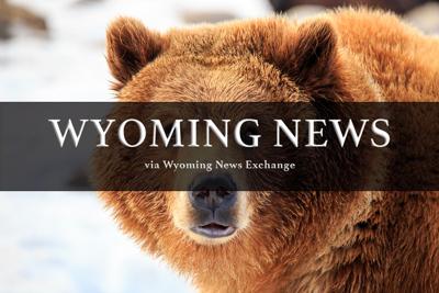 Grizzly bear killed near Yellowstone | State | wyomingnews.com