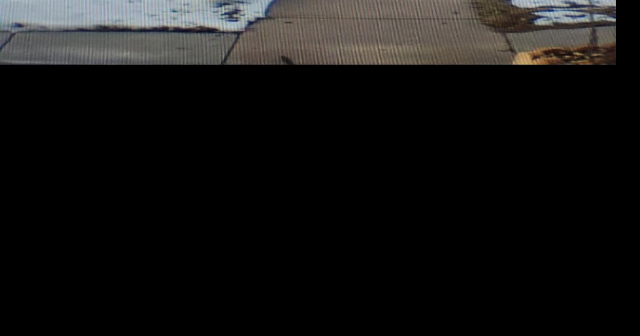 Cheyenne police arrest man with 'axe' to grind against mayor ...