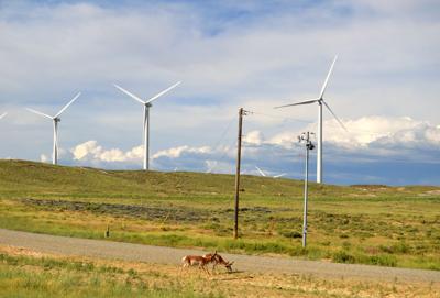 BLM approves Two Rivers Wind Energy Project | News | wyomingnews.com