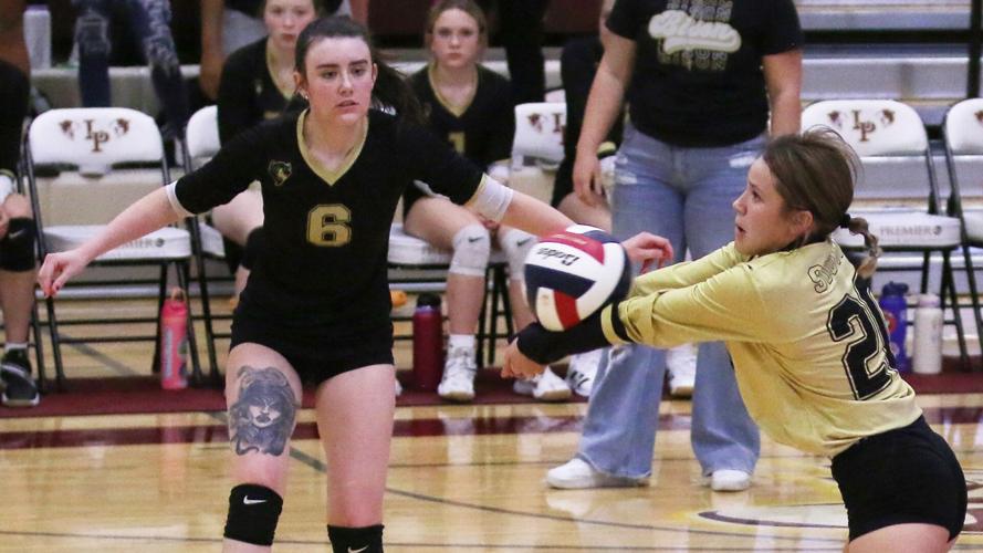Bison fall in three sets to Plainsmen | Cheyenne South | wyomingnews.com