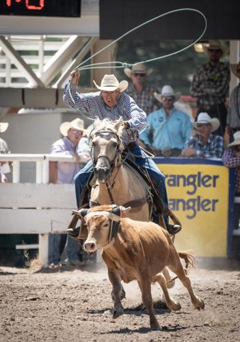 Taylor Santos is top steer roping qualifier at Cheyenne Frontier Days ...