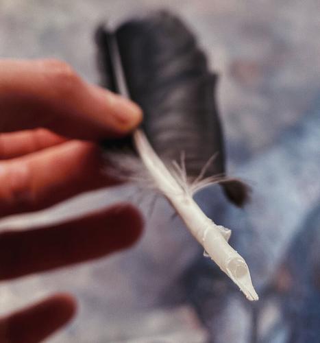 Students attend museum course in civics, government, the Constitution ...