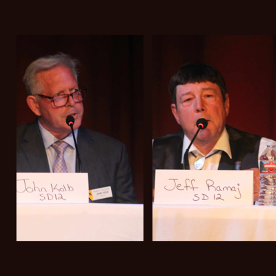 Kolb and Ramaj duke it out in Senate 12 race | Rocket Miner ...