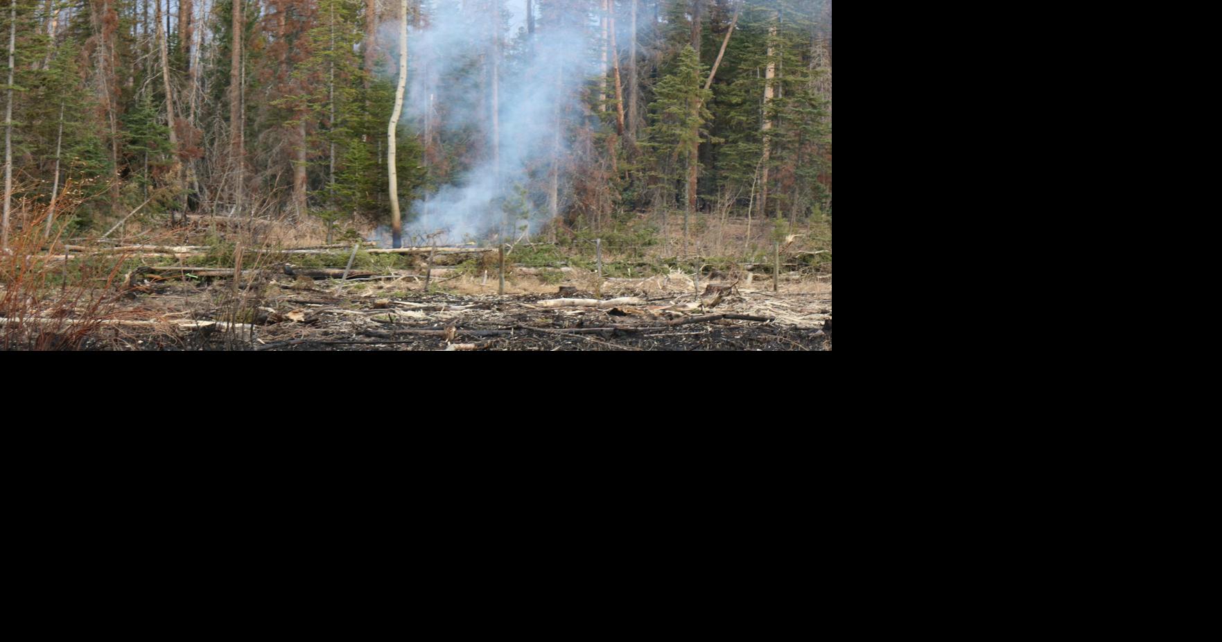 A perfect storm: Why the Mullen Fire grew so big | Local News ...