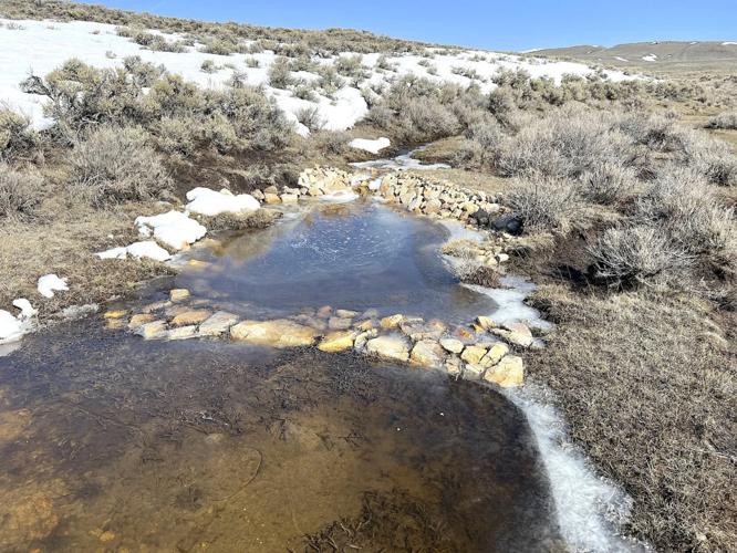 Safeguarding the sagebrush’s rich wet meadows, one Wyoming gulch at a ...