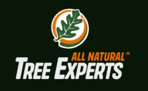 All Natural Tree Experts Launches New Website Highlighting Safe ...