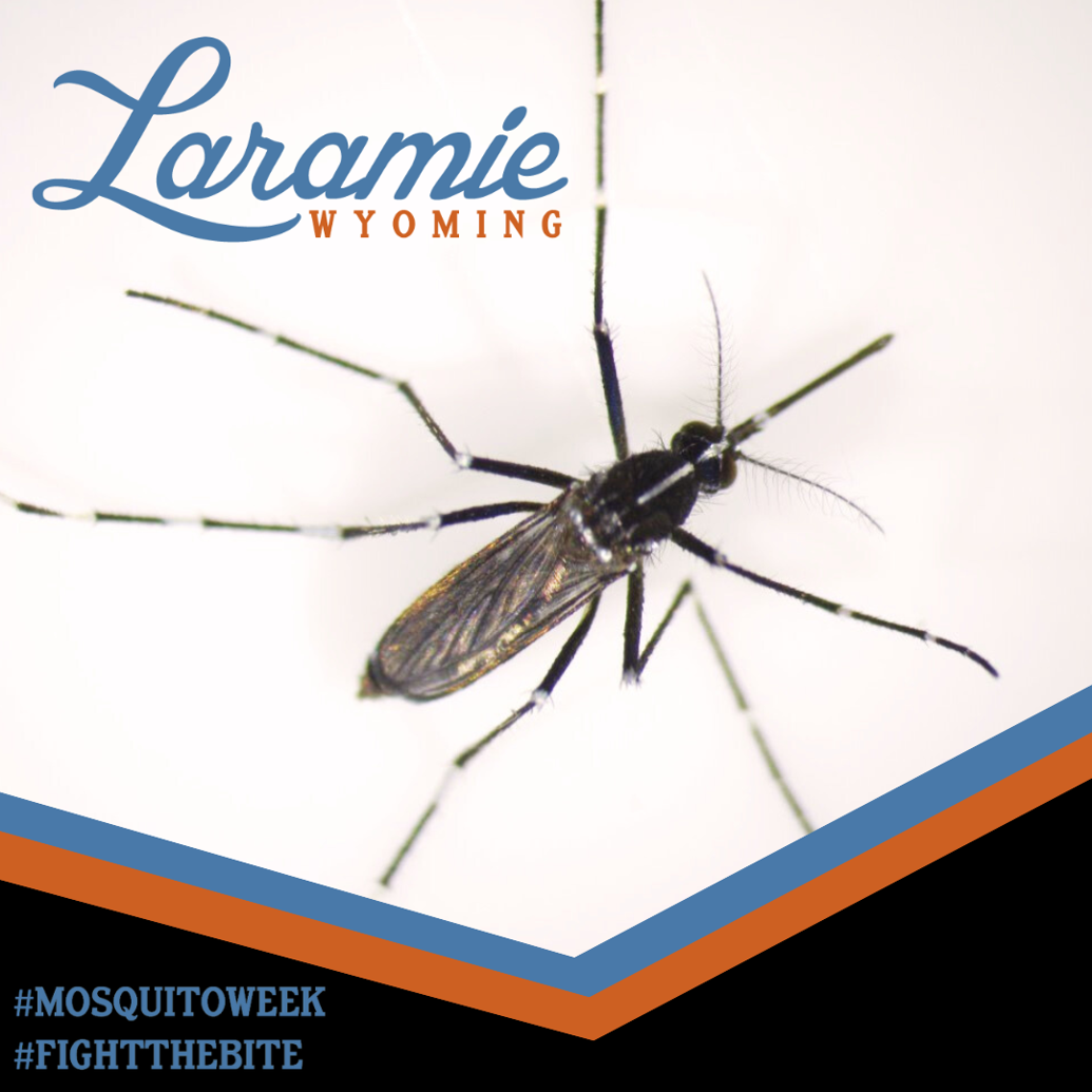 Rising virus activity shapes Laramie's future mosquito control efforts ...