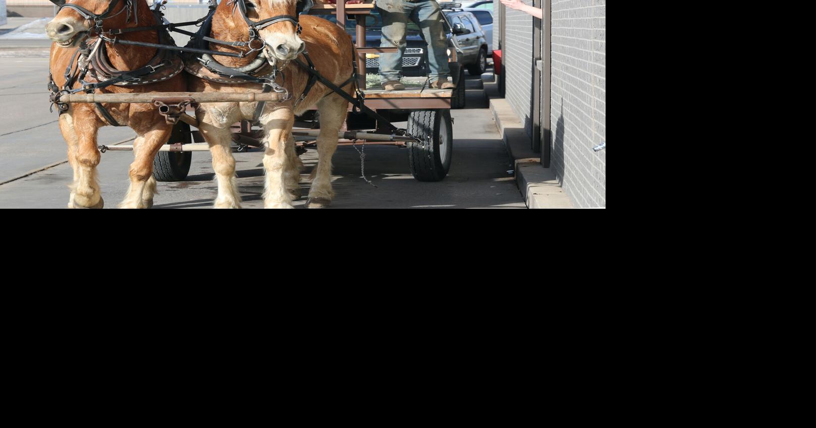 Coffee with a side of hay | News | wyomingnews.com
