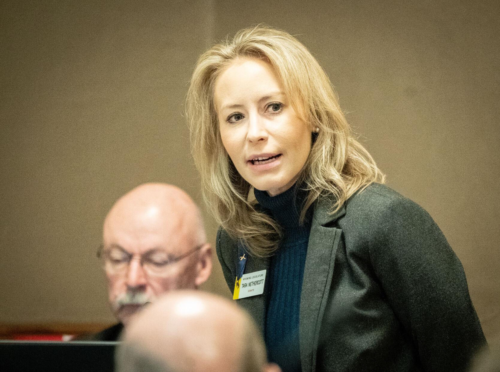 A budget is finally negotiated– but the journey to the governor's desk ...