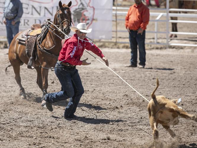 Tie-down roping qualifiers for 127th Cheyenne Frontier Days, 7-17-23 ...