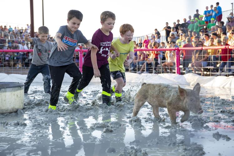 Laramie County Fair Pig Wrestling | Gallery | wyomingnews.com