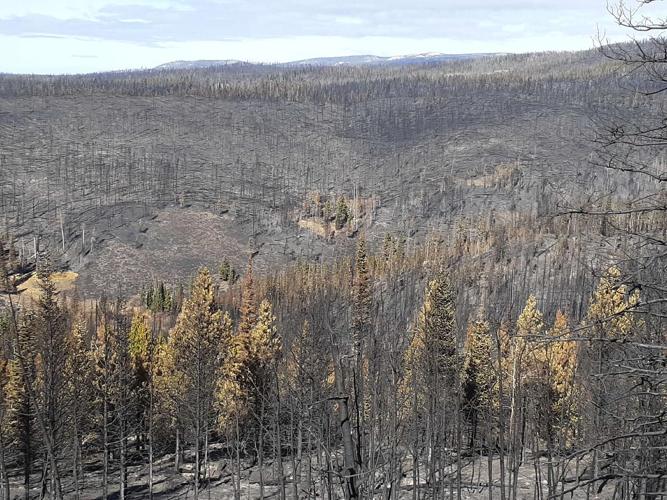 Mullen Days – reflecting on the wildfire two years later | News ...