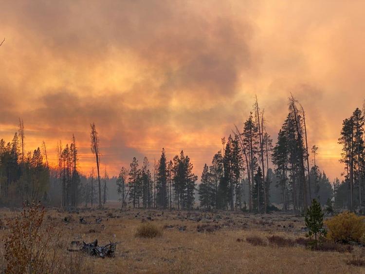 Mullen Fire spread slows | State | wyomingnews.com