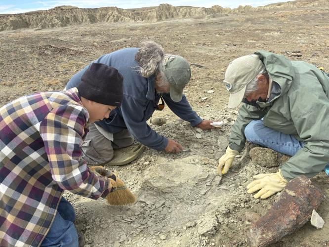 Nevada boy who found a turtle fossil in Wyoming now helping work on its ...