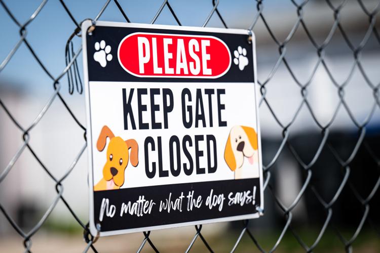 USPS workers discuss safety initiatives, urge dog owners to prioritize ...