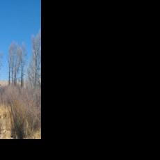 City Council approves resolution for grant application to address ...