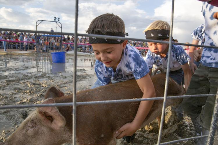 Pig Wrestling | Gallery | wyomingnews.com