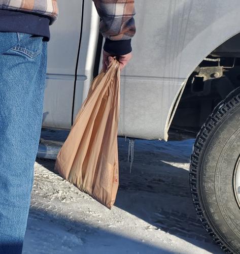 Helping the environment: Resident speaks out against plastic bags ...