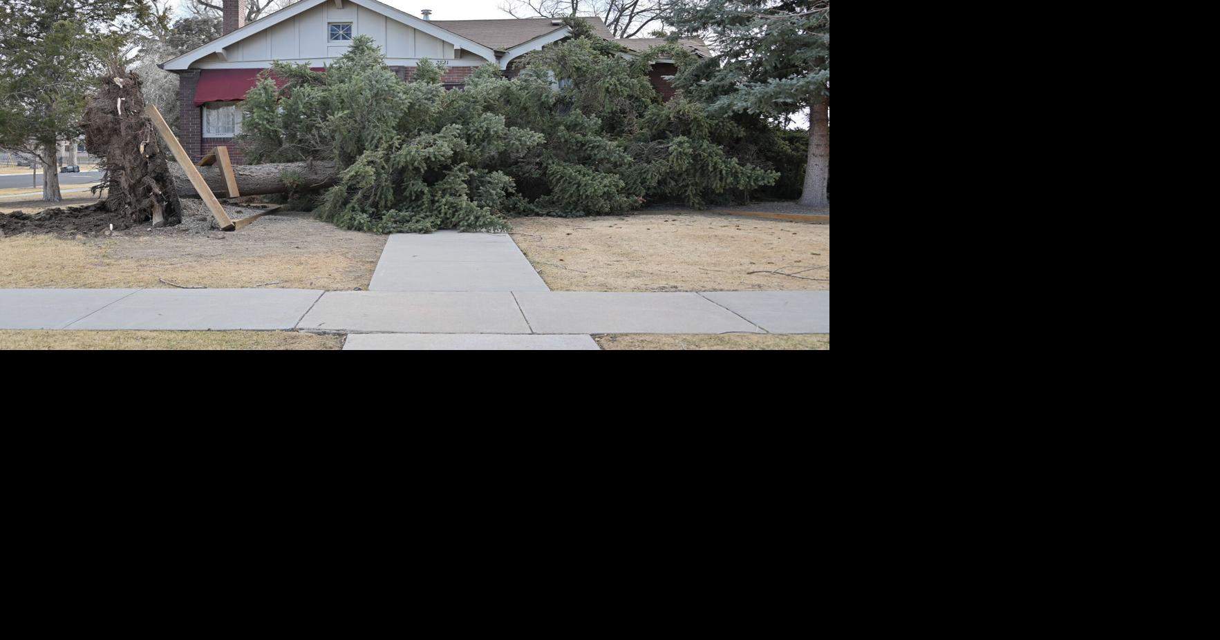 Do you agree with the decision by Laramie County School District 1 ...