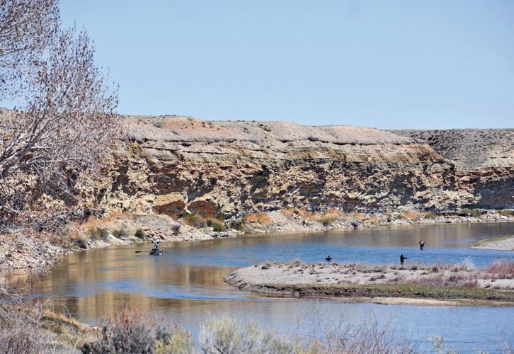 Water and wildlife therapy | Entertainment | wyomingnews.com
