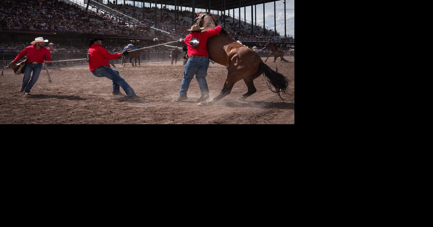 Wild horse racing: the family and traditions beyond the track | Local ...