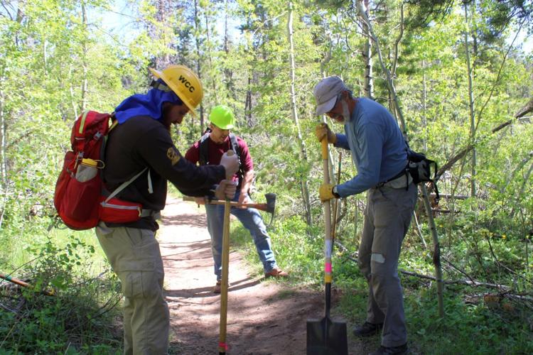 Volunteers value trails with sweat and muscle | News | wyomingnews.com