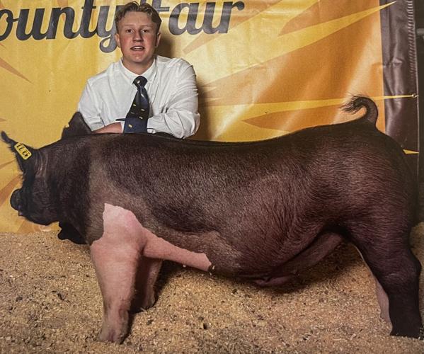 Bringing home the bacon: Rocket Miner donates 4-H pig to Food Bank of ...