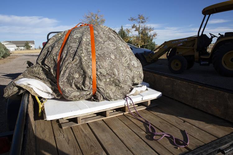How to transport a giant pumpkin | Gallery | wyomingnews.com