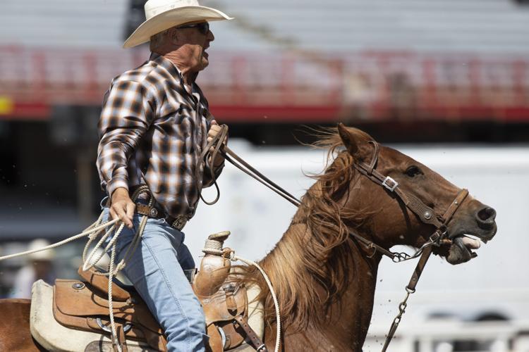 Proctor leads way at steer roping qualifying | Cfd | wyomingnews.com