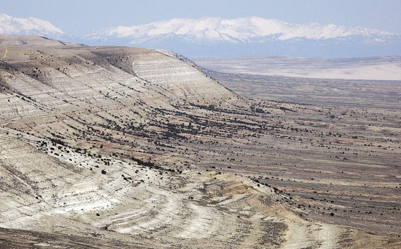 View wild horses in all their majestic beauty on the Pilot Butte Wild ...
