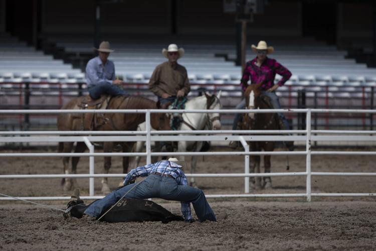 Proctor leads way at steer roping qualifying | Cfd | wyomingnews.com
