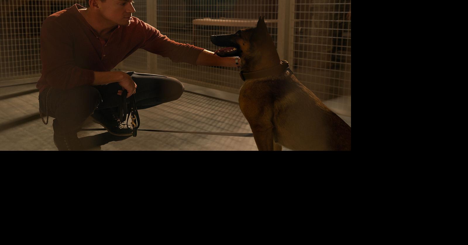 Movie review: Channing Tatum embarks on road trip with canine companion ...