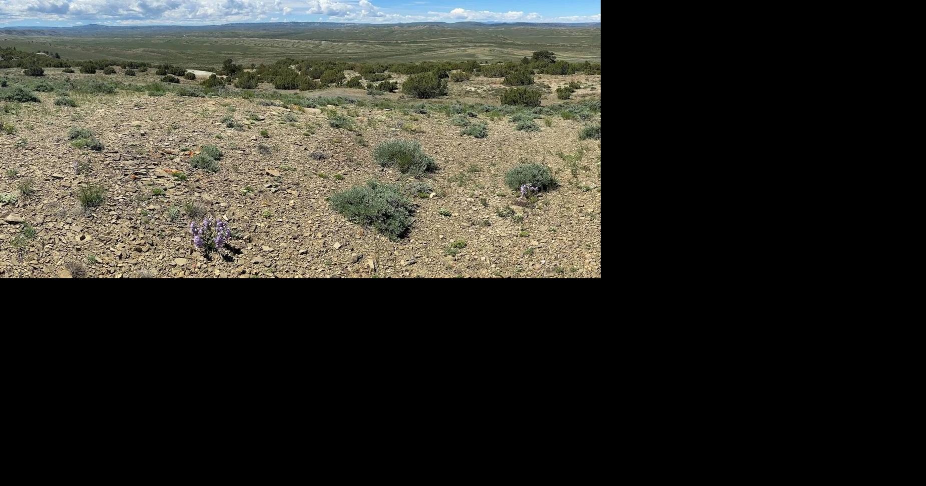 BLM wants low-key river recreation at Marton Ranch property near Casper ...