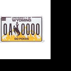 Popular UW license plates get a new look, featuring mountain design ...