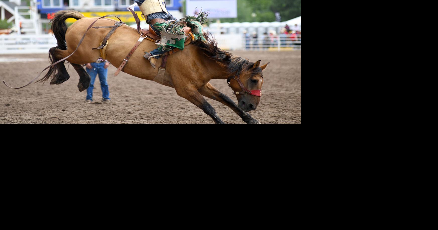Cheyenne Frontier Days Rodeo 2022, Day 2 | Gallery | wyomingnews.com