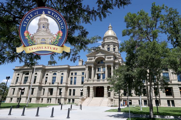 'What is a Woman Act' passes through Wyoming legislative committee on ...