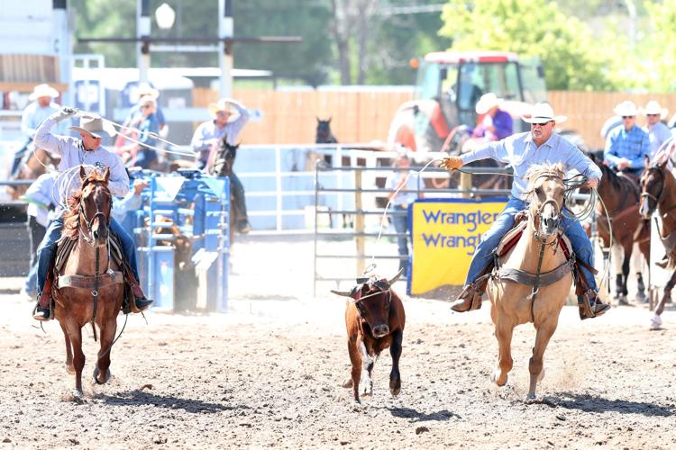 National Team Roping presents Western Frontier Labor Day event in ...