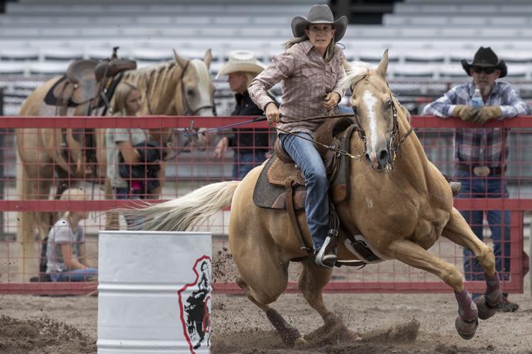 Increased arena drags make CFD better for barrel racers | Cfd ...