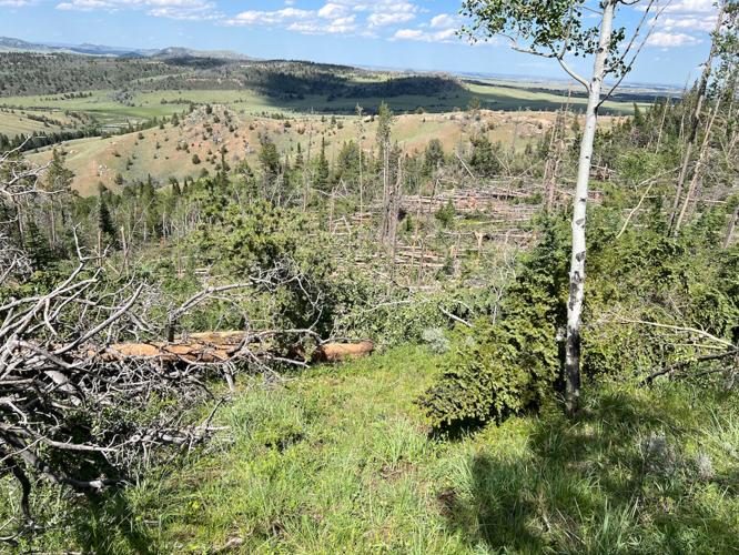 Laramie’s Windy Windy gets very windy | News | wyomingnews.com