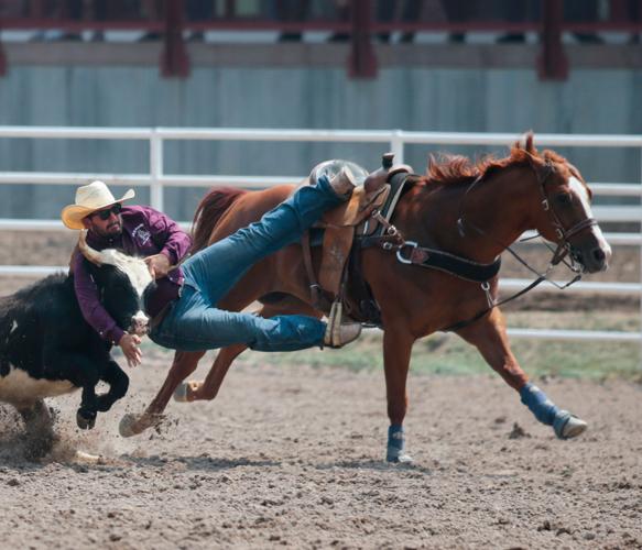 Stetson Wright wins CFD saddle bronc, all-around titles | Cfd ...
